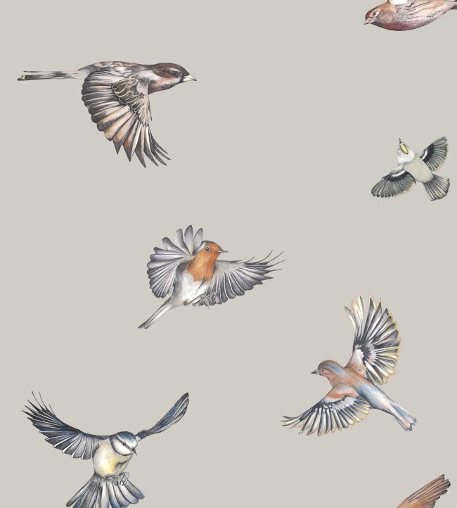 Early Bird Wallpaper – Kids Wallpaper Company